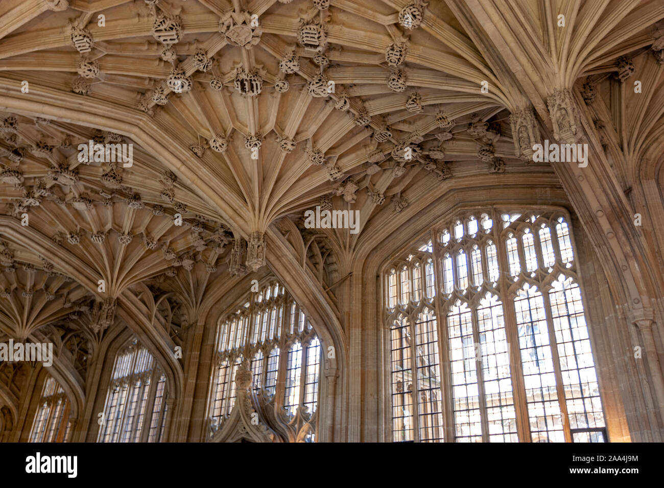 Ceiling with lierne vaulting in Divinity School, medieval building and ...