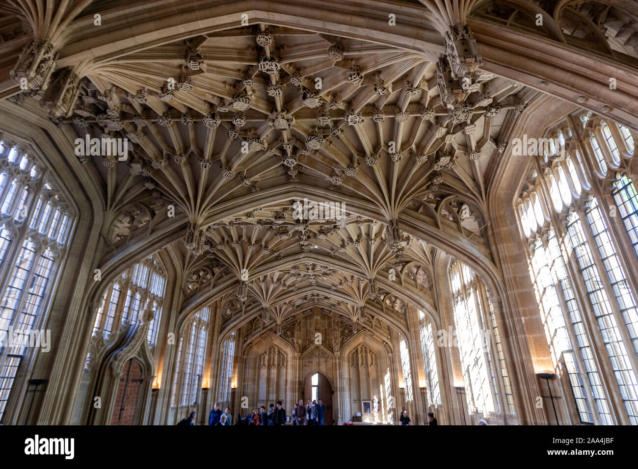 Ceiling with lierne vaulting in Divinity School, medieval building and ...