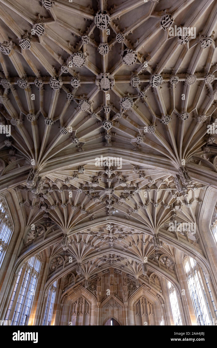 Ceiling with lierne vaulting in Divinity School, medieval building and ...