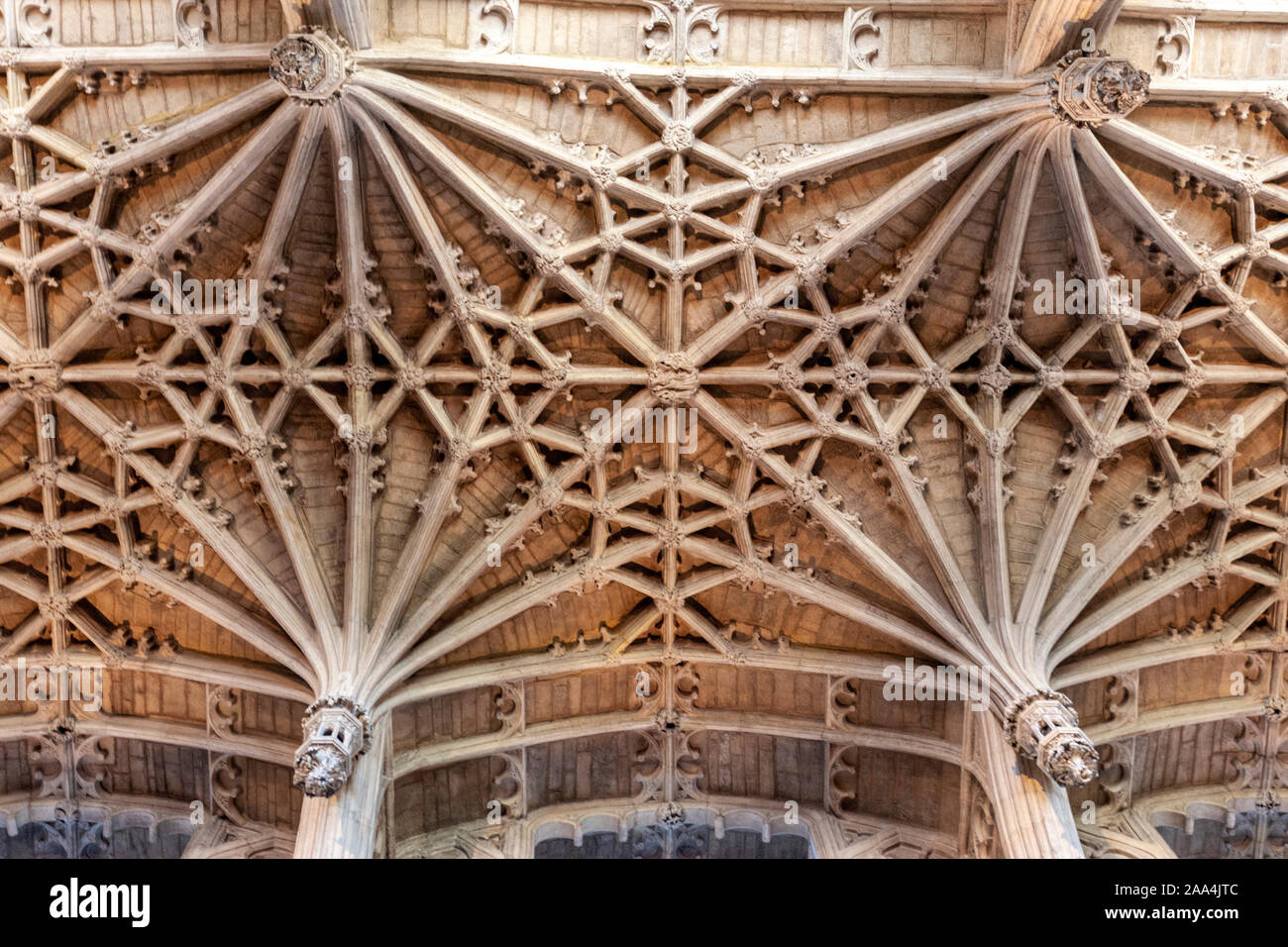 Christ church vaulted ceiling hi-res stock photography and images - Alamy
