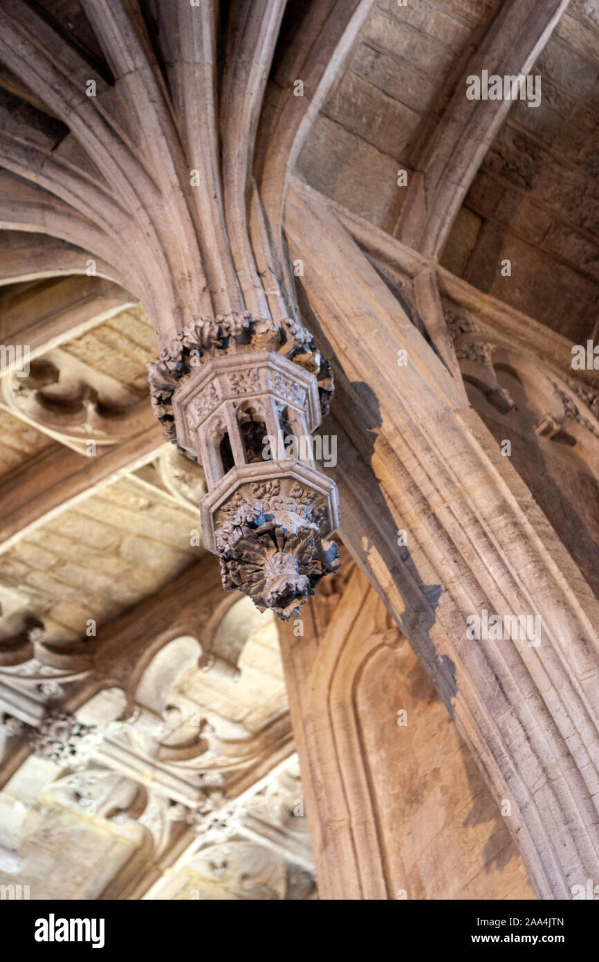 Detail of the vaulted ceiling of Christ Church Cathedral, Christ Church ...