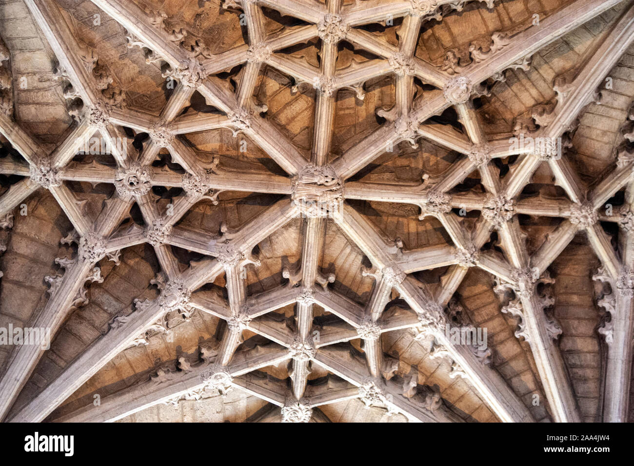 Vaulted ceiling in Christ Church Cathedral, Christ Church college of ...