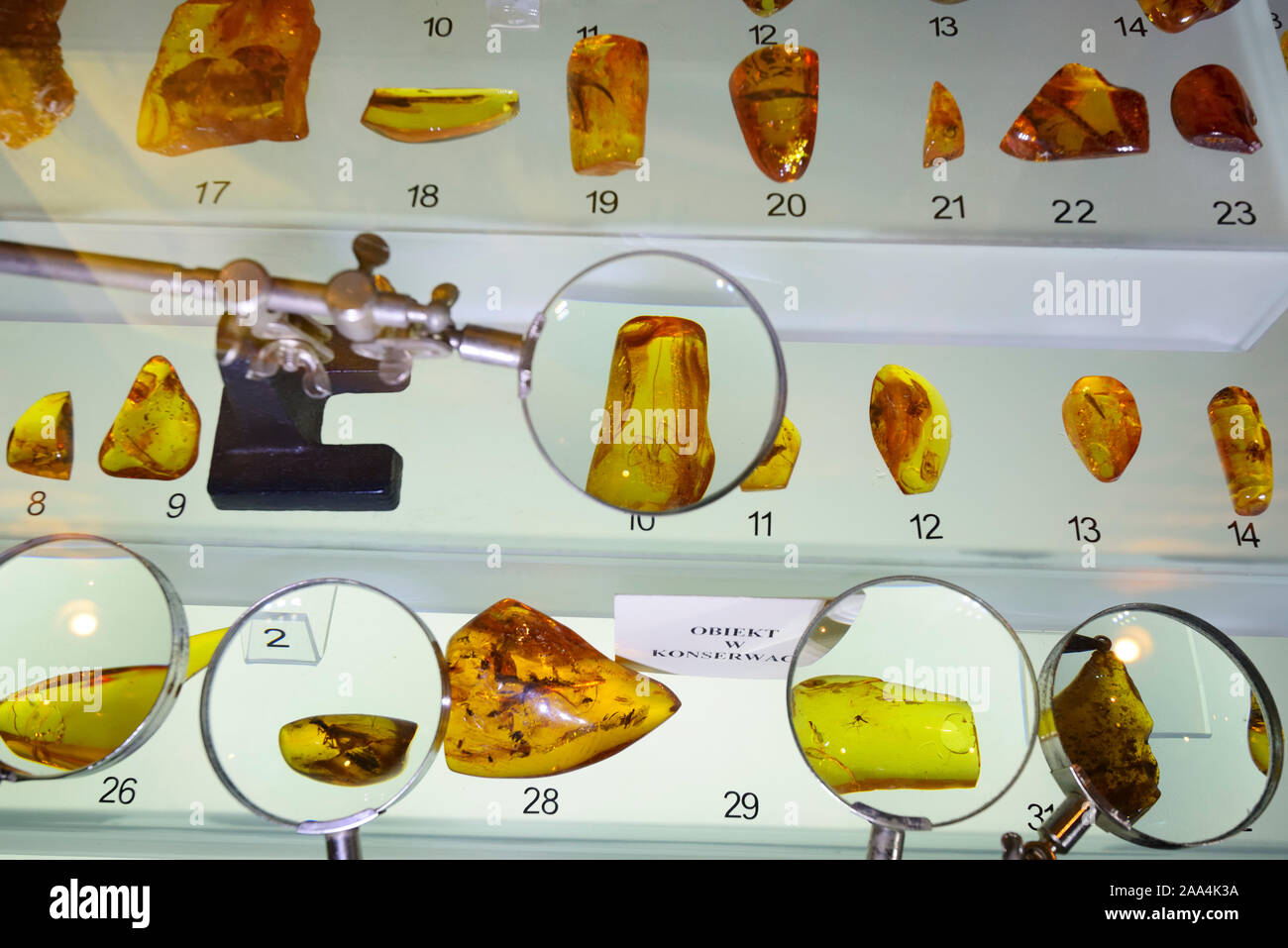 Baltic amber, the gold of the Baltic, in the Amber museum. Gdansk ...