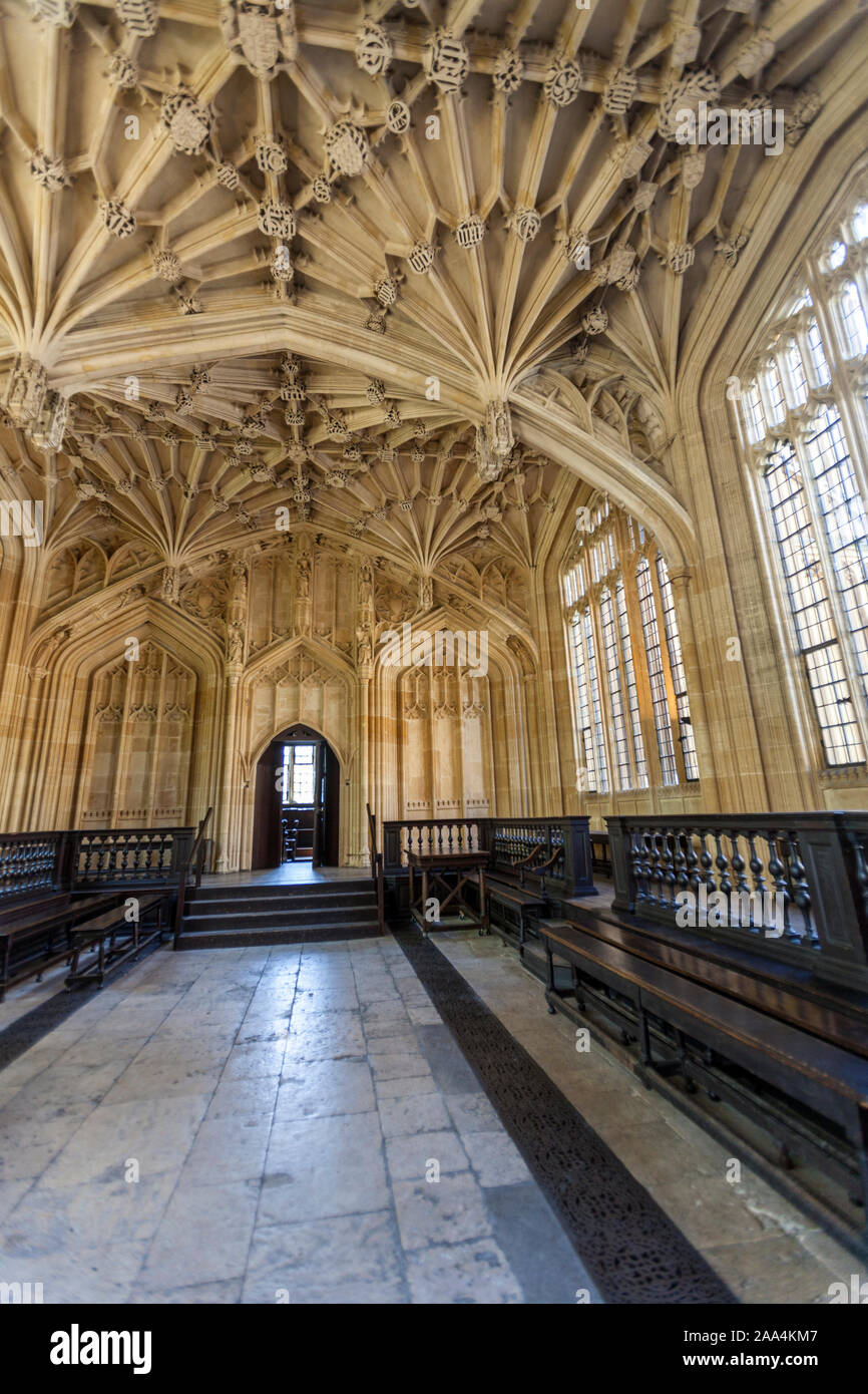 Ceiling with lierne vaulting in Divinity School, medieval building and ...