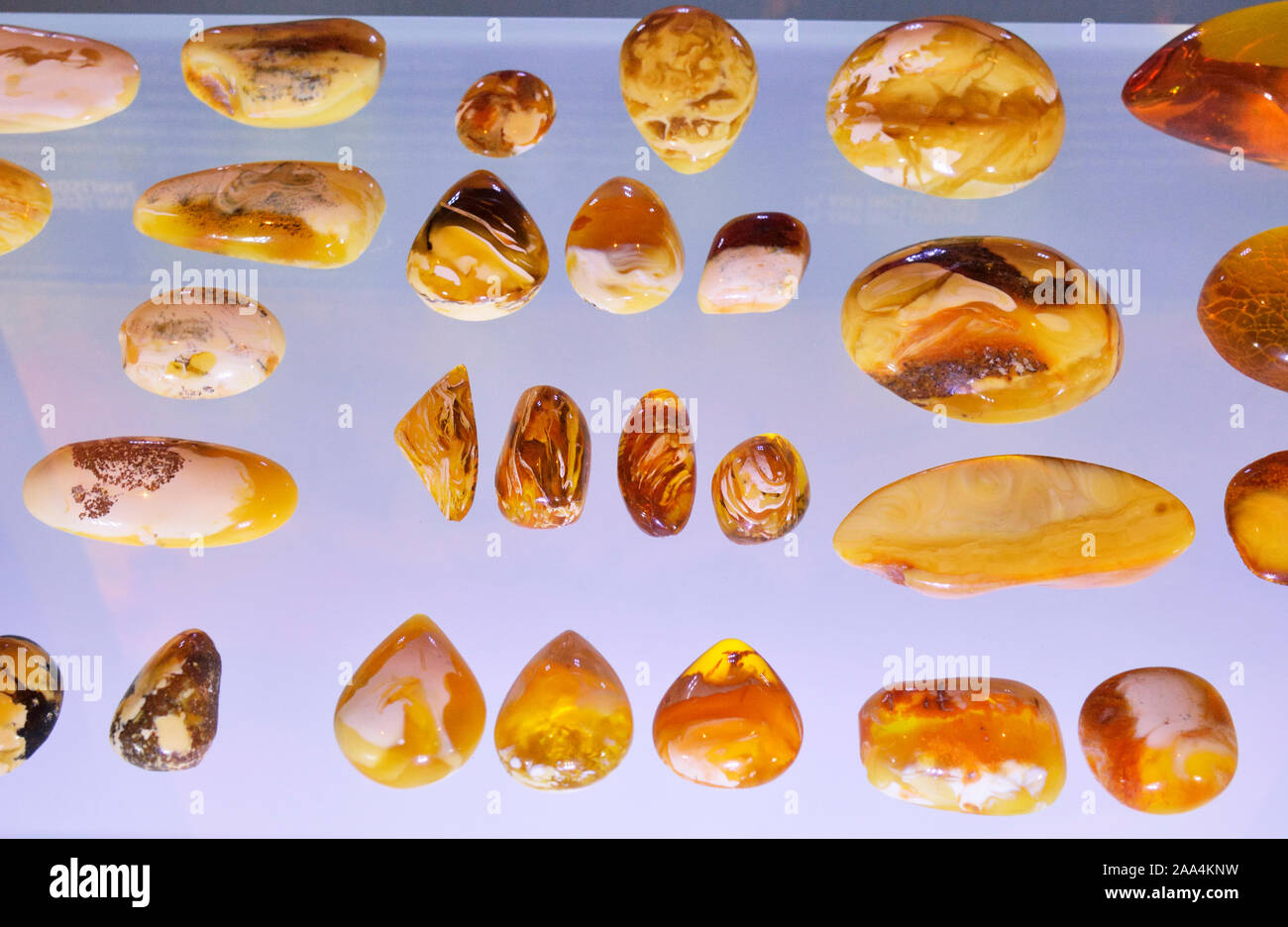 Amber museum hi-res stock photography and images - Alamy