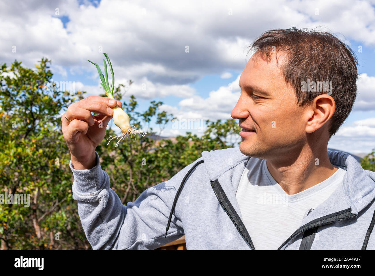 Happy man farmer holding looking at green onion sprout with small roots ...