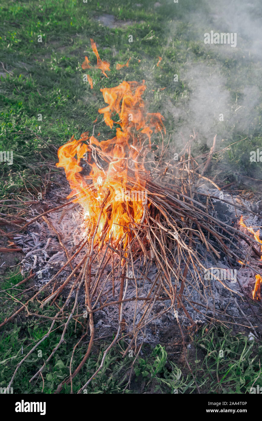 Fire of dry twigs on the green grass Stock Photo - Alamy