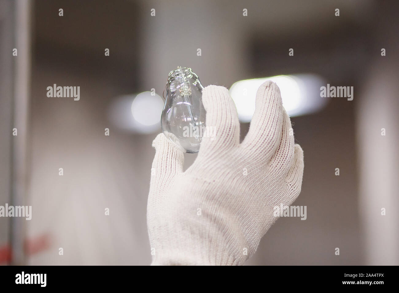 Worker hands picks up electric glass lamp, put cap on wires Stock Photo ...