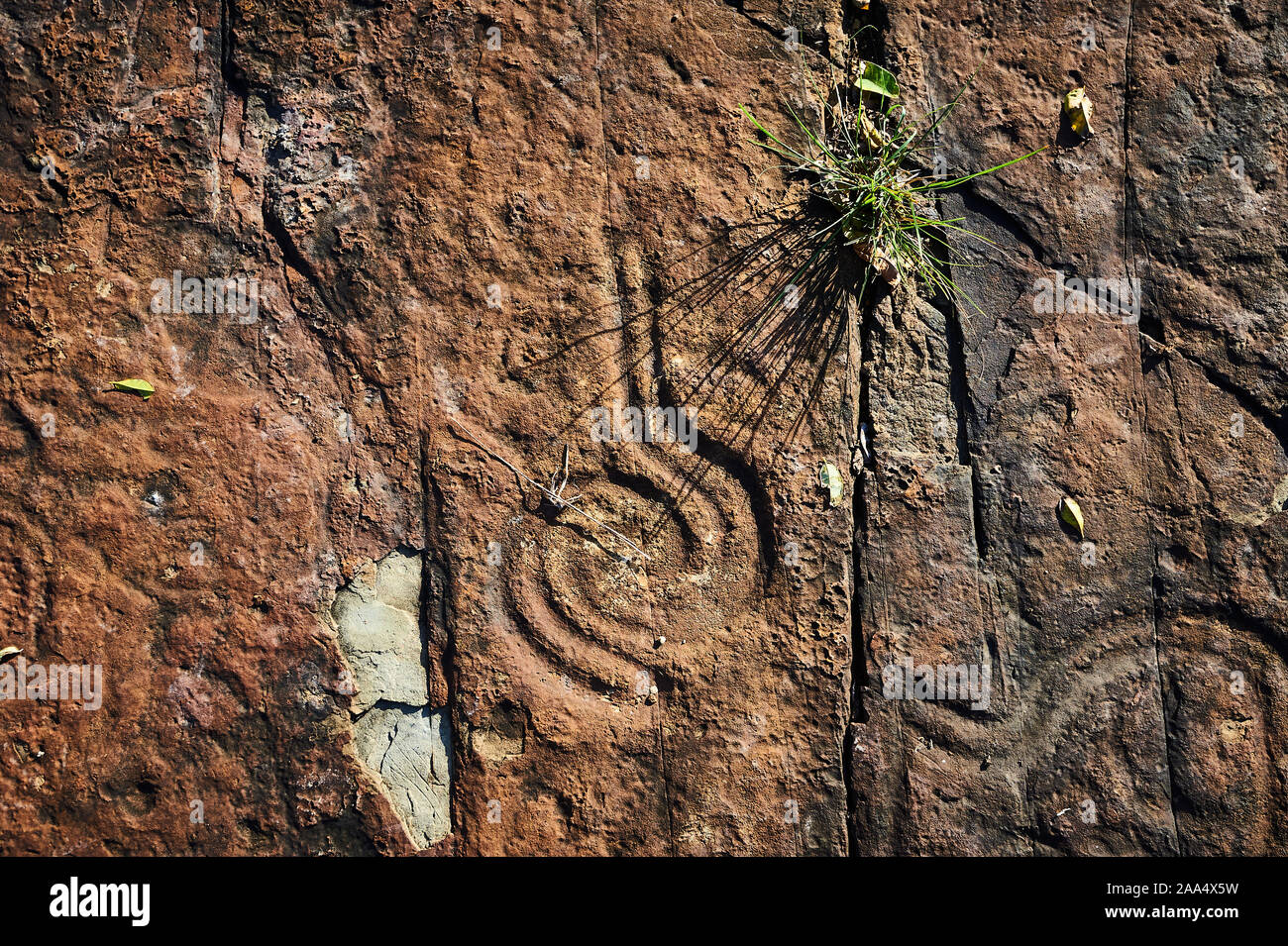 Taino hi-res stock photography and images - Alamy