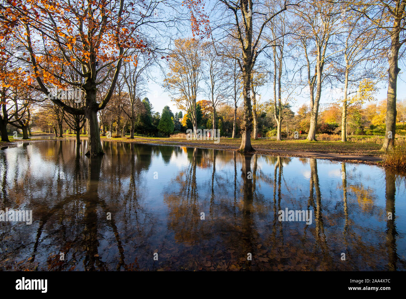 Reflections of flood water at Highfields University Park, Nottingham ...