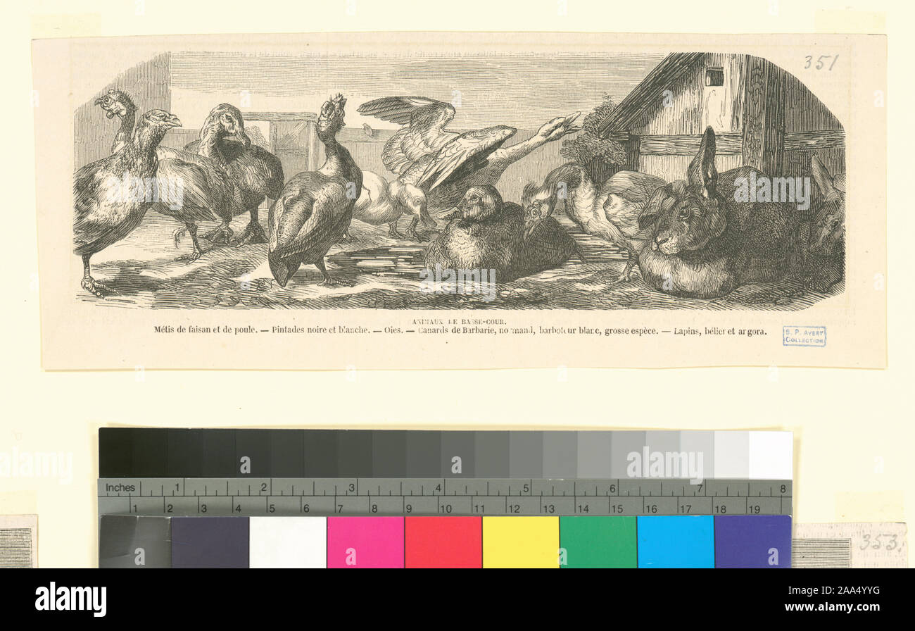 Charles francois felix hi-res stock photography and images - Alamy