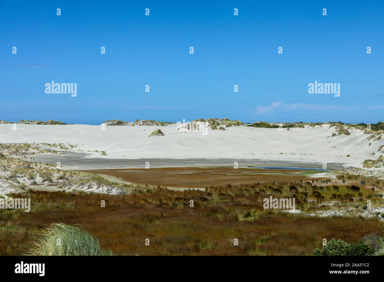 Beach sand dune Farewell Spit in New Zealand Stock Photo - Alamy