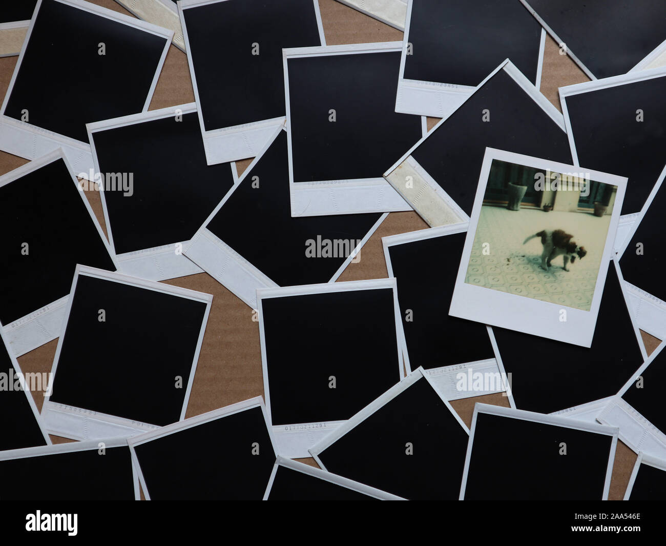 Set of retro photo frames Many polaroid on a cardboard background ...