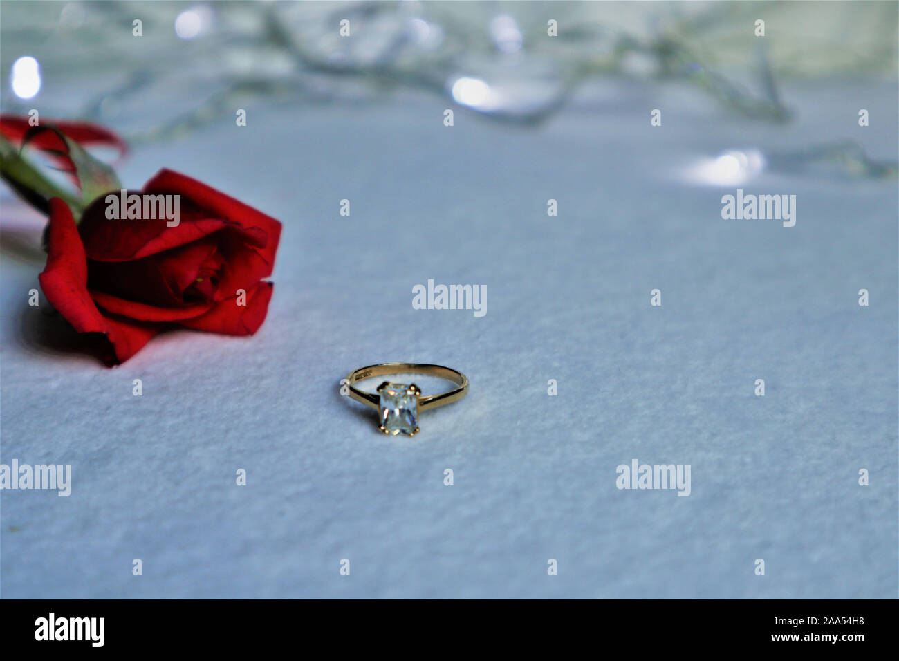 White background with red roses, engagement ring. The concept of ...