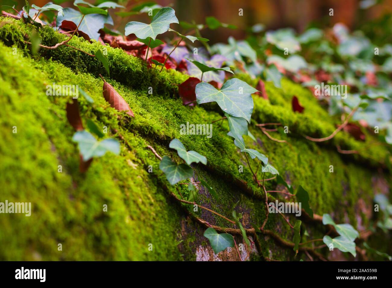 Mellerdall hi-res stock photography and images - Alamy