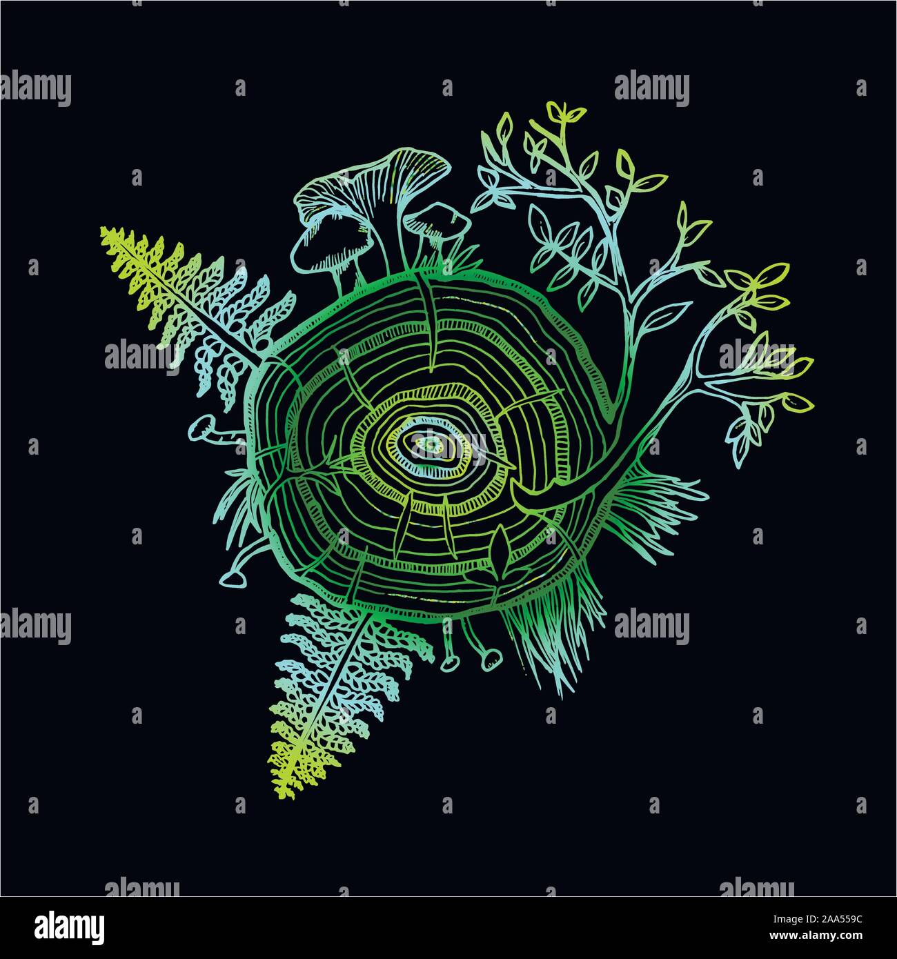 Wood fern Stock Vector Images - Alamy