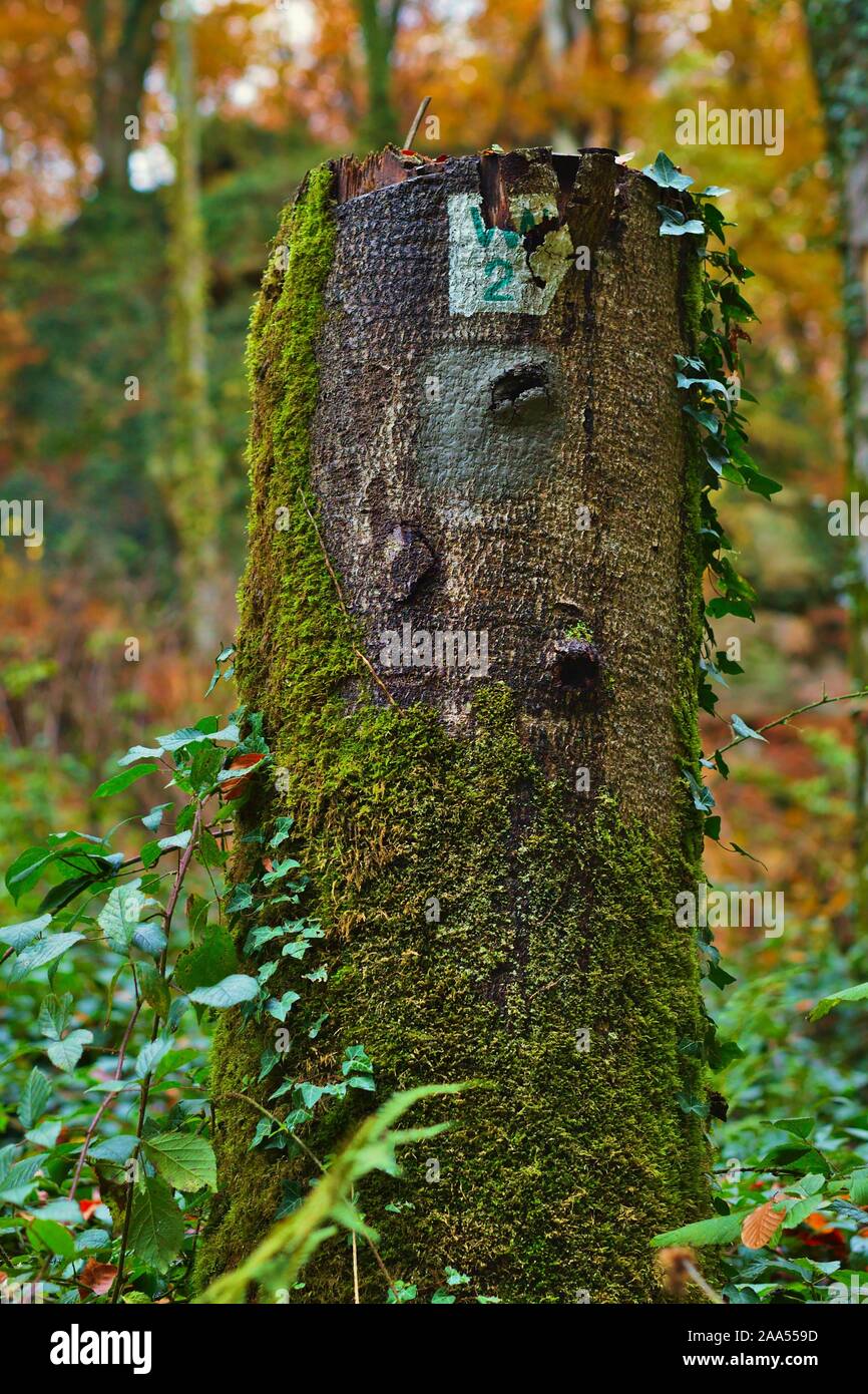 Mellerdall hi-res stock photography and images - Alamy