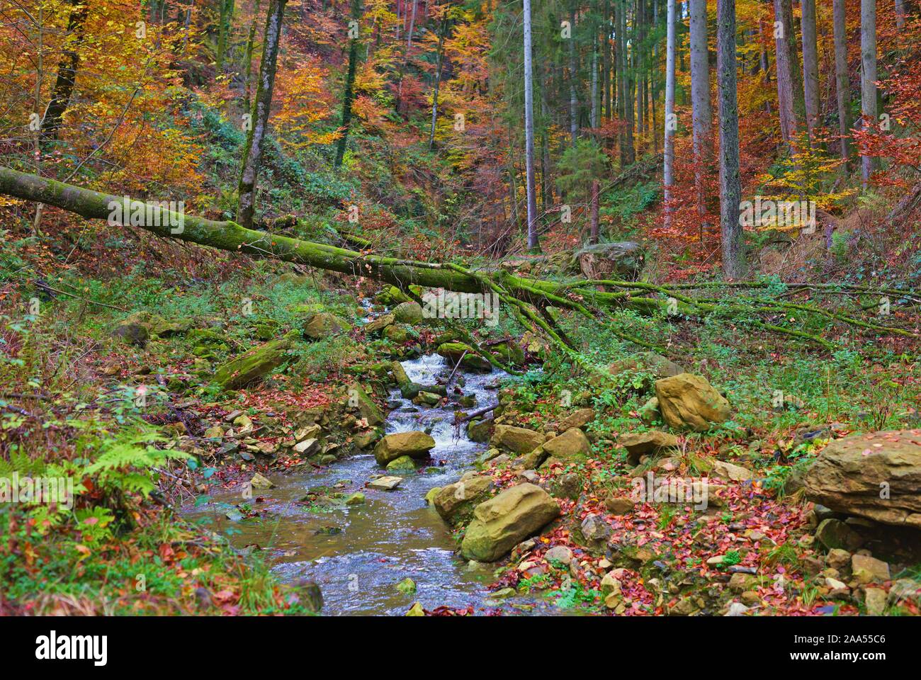 Mellerdall hi-res stock photography and images - Alamy