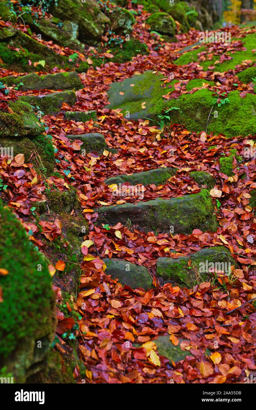 Uneven path hi-res stock photography and images - Alamy
