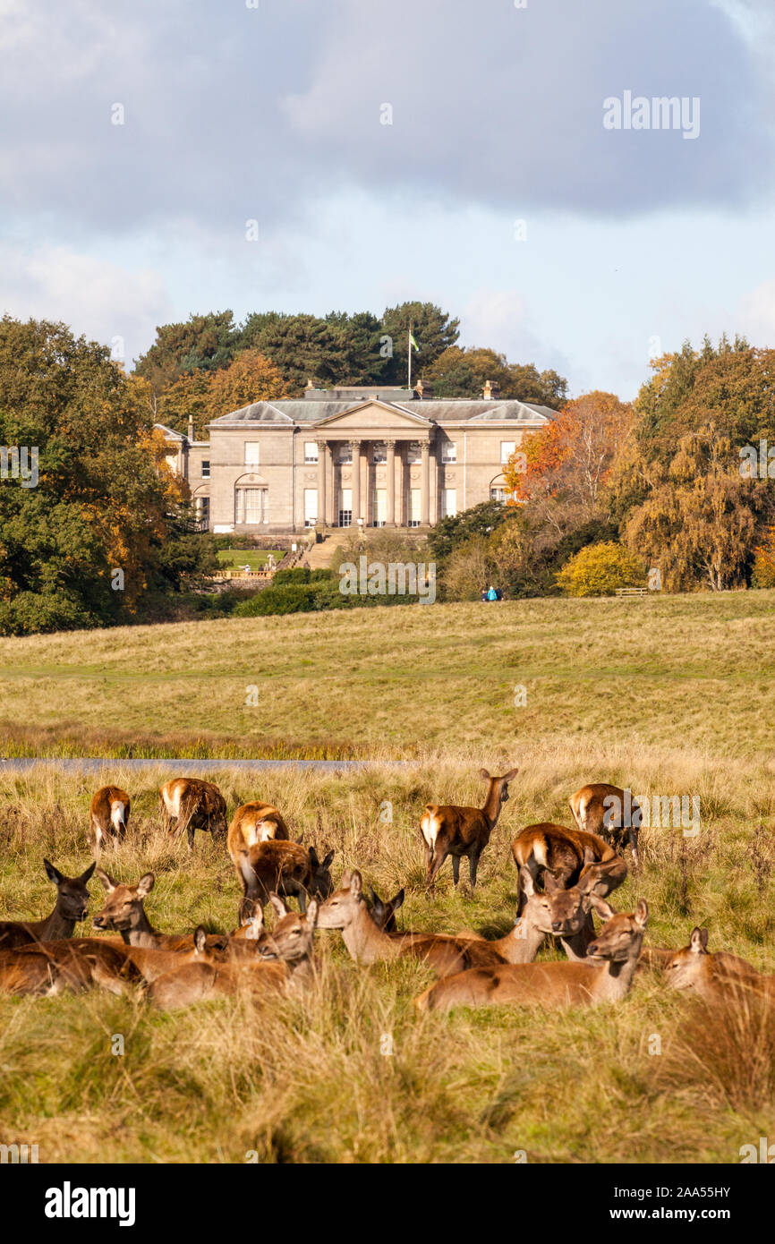 Cheshire knutsford hi-res stock photography and images - Alamy