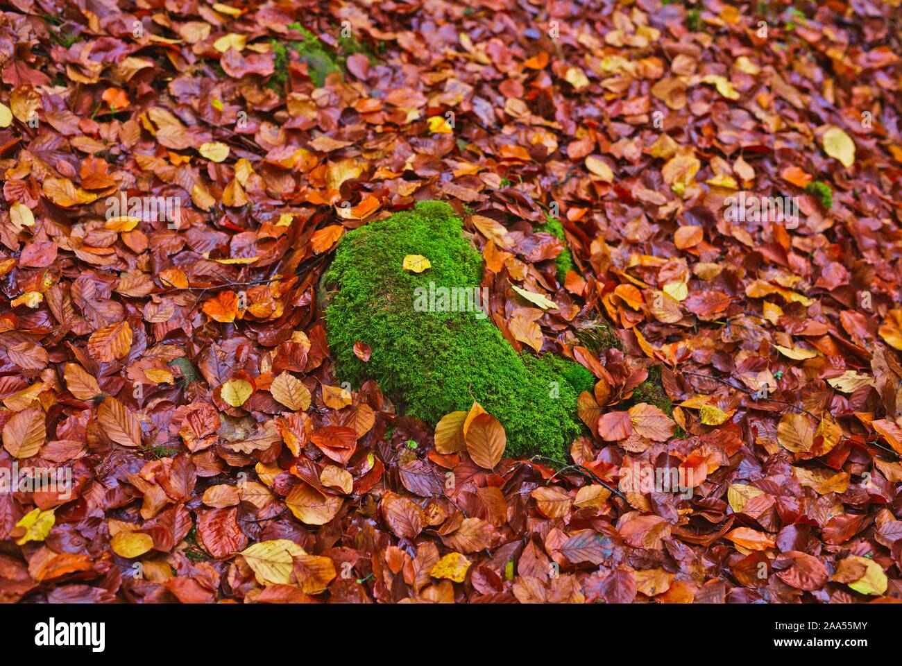 Mellerdall hi-res stock photography and images - Alamy