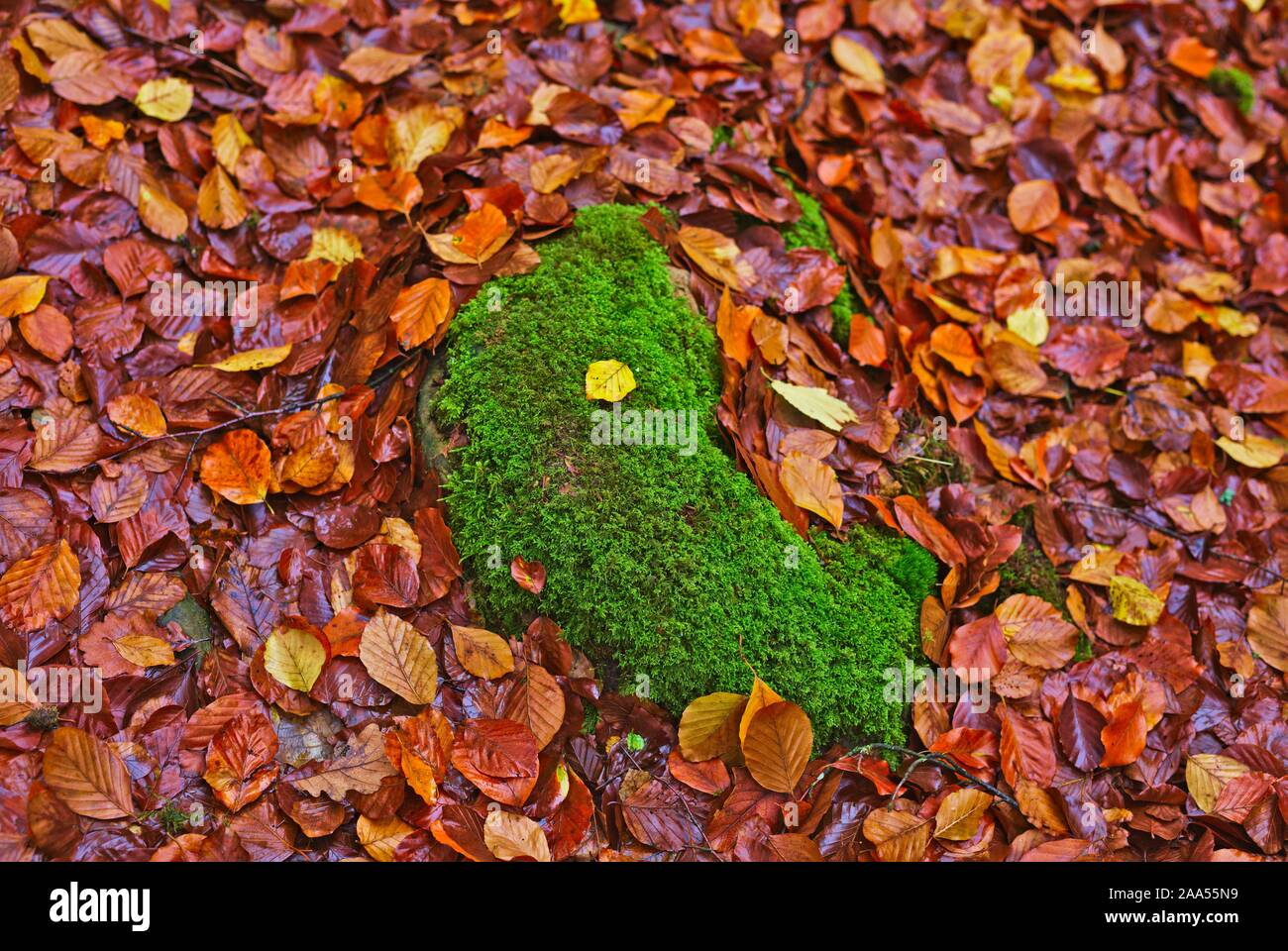 Mellerdall hi-res stock photography and images - Alamy