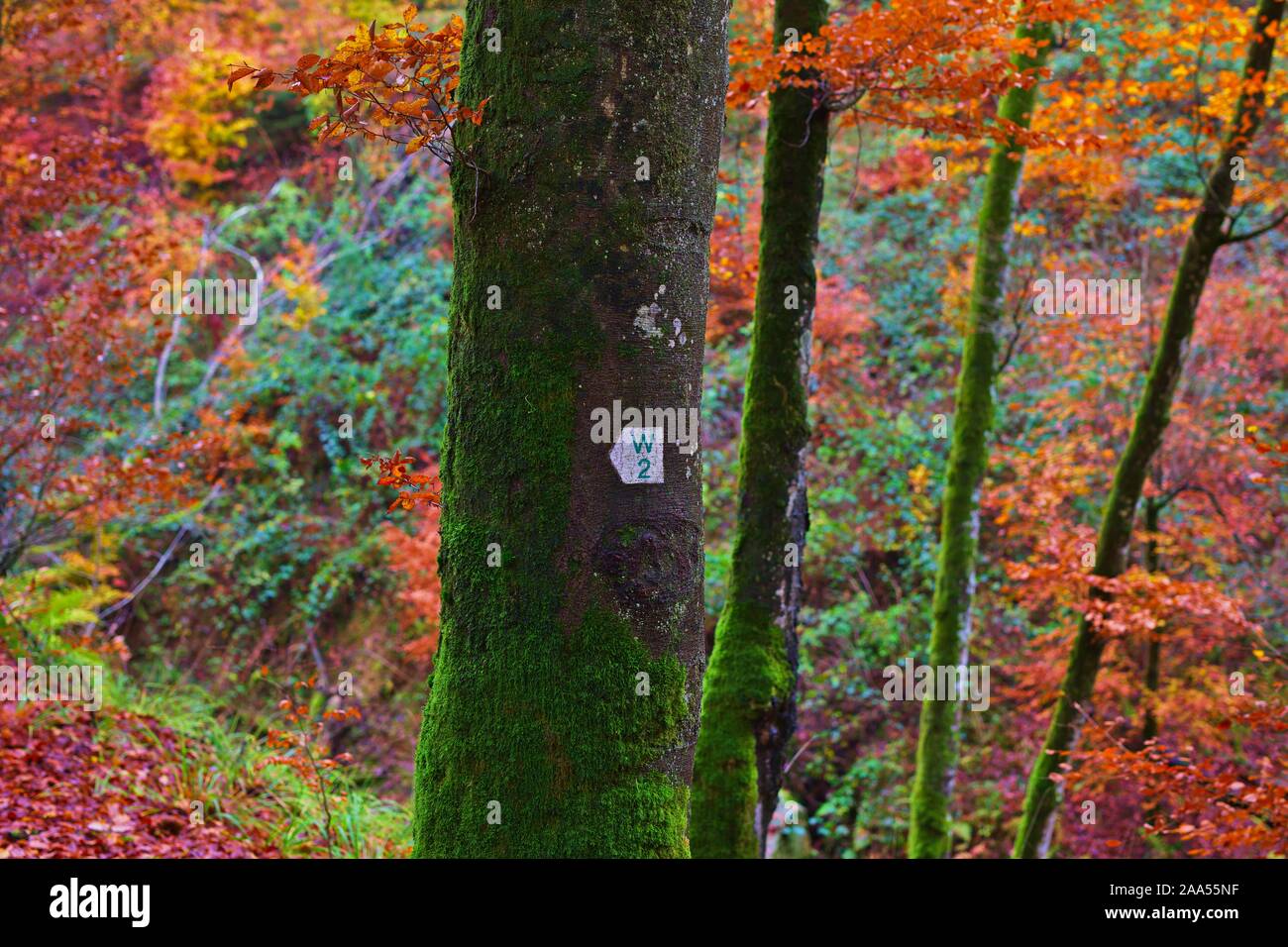 Mellerdall hi-res stock photography and images - Alamy
