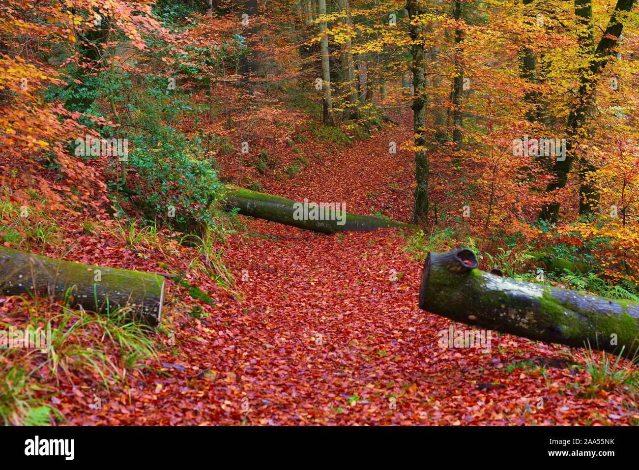 Mellerdall hi-res stock photography and images - Alamy