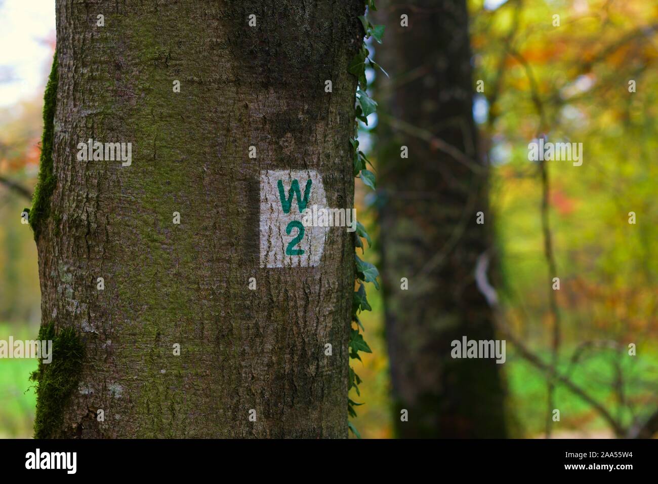 Mellerdall hi-res stock photography and images - Alamy