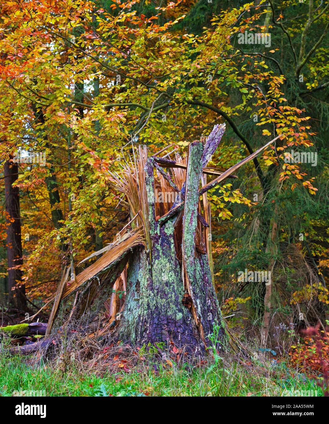 Mellerdall hi-res stock photography and images - Alamy