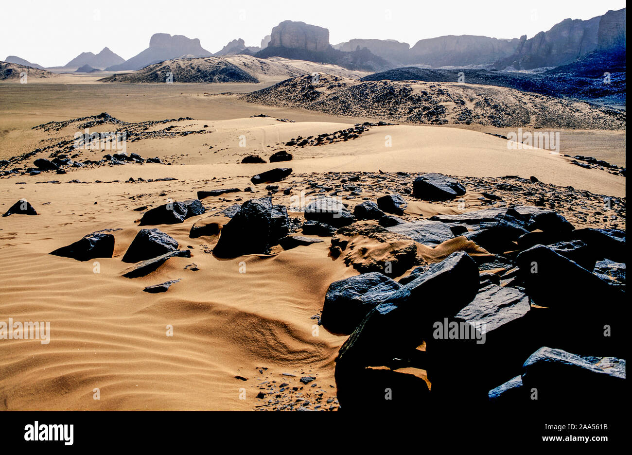 Algerian desert hi-res stock photography and images - Alamy