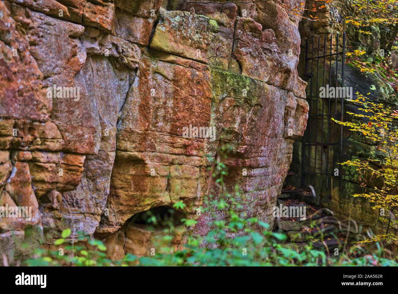 Mullerthal trail luxembourg hi-res stock photography and images - Alamy