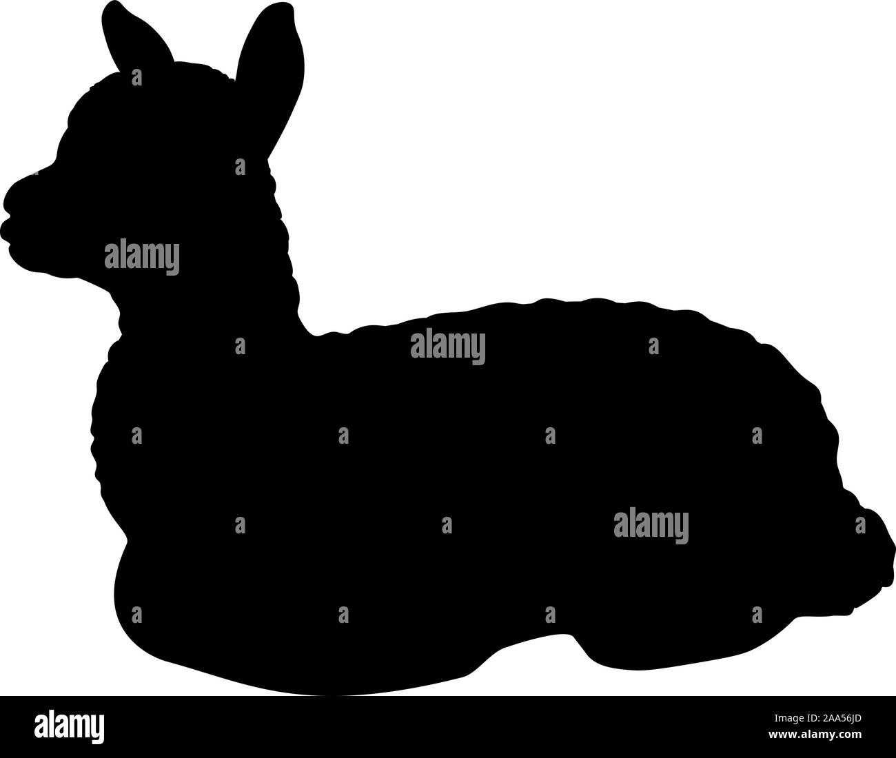 Silhouette of young alpaca lama cub. Vector illustrator Stock Vector ...