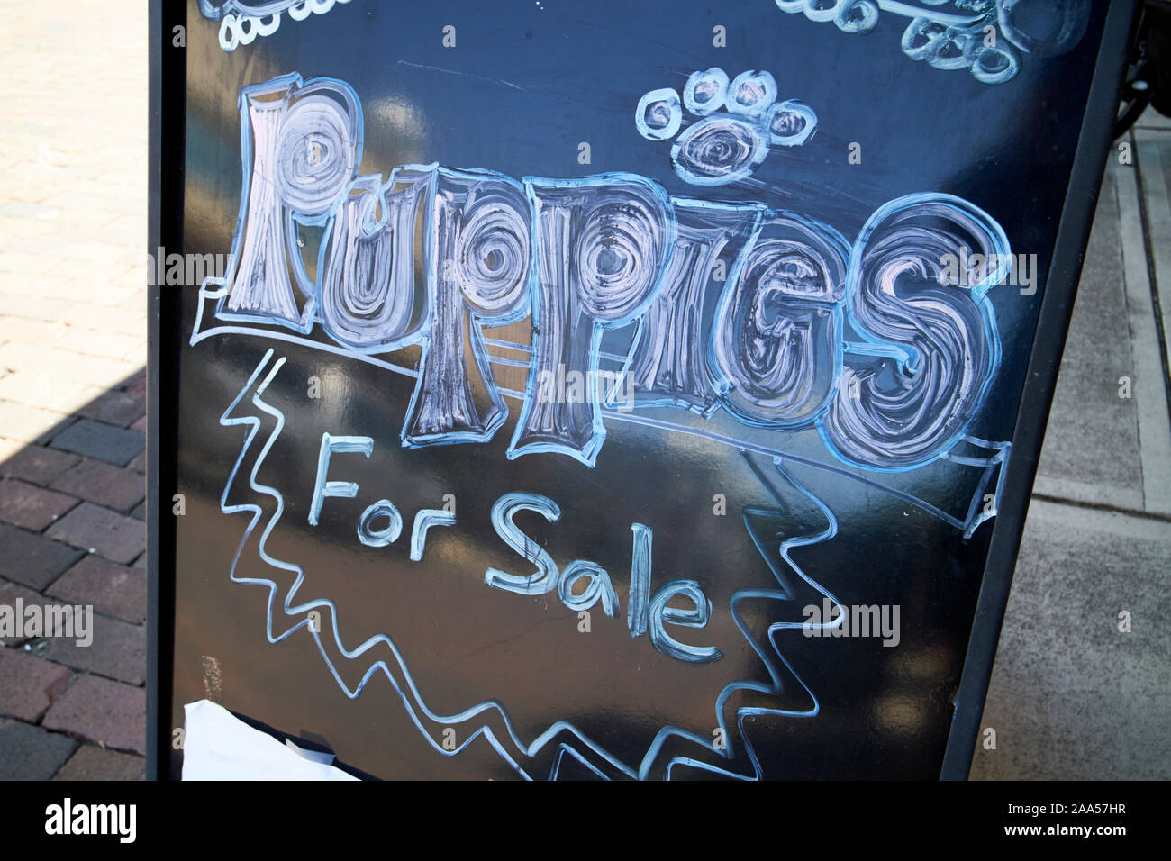 hand written sign for puppies for sale florida usa Stock Photo - Alamy