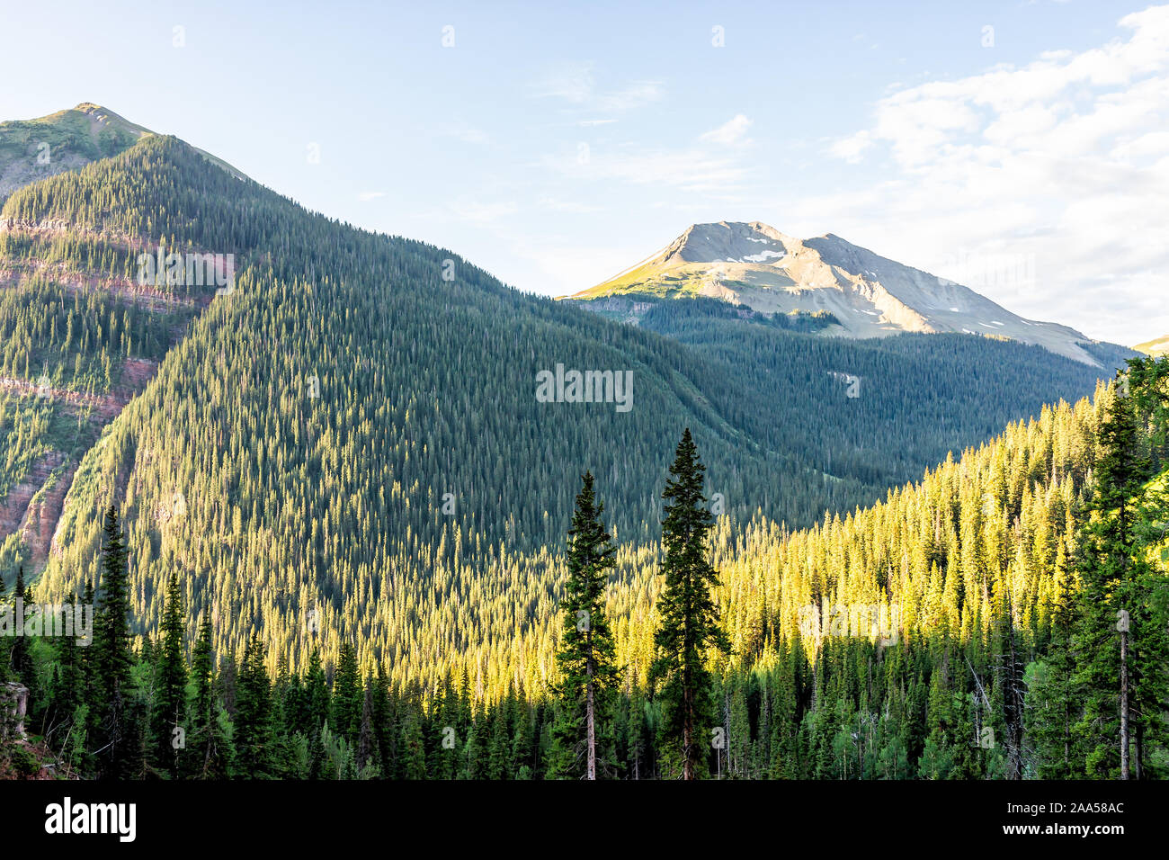 Coniferous pine spruce trees forest view from trail to Ice lake in ...