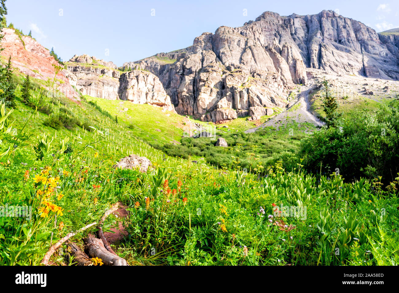 Alpine rocky meadow with rocks and yellow and red paintbrush ...