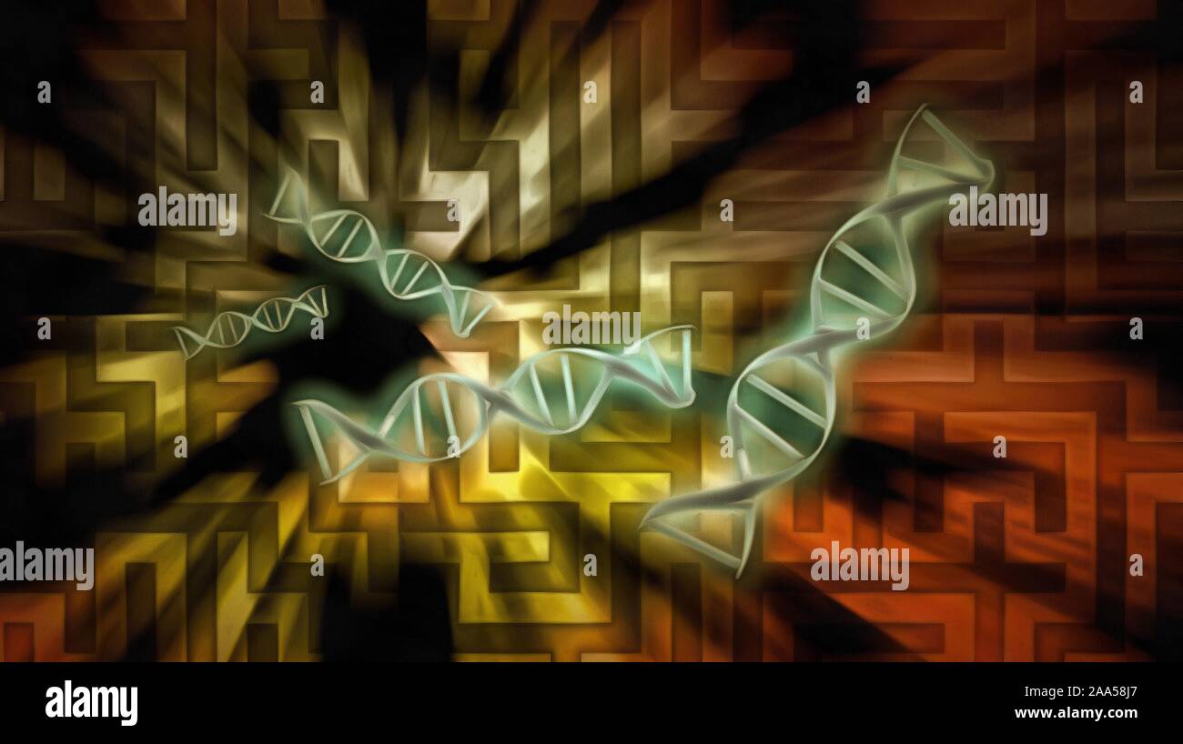 DNA strands on maze background Stock Photo - Alamy