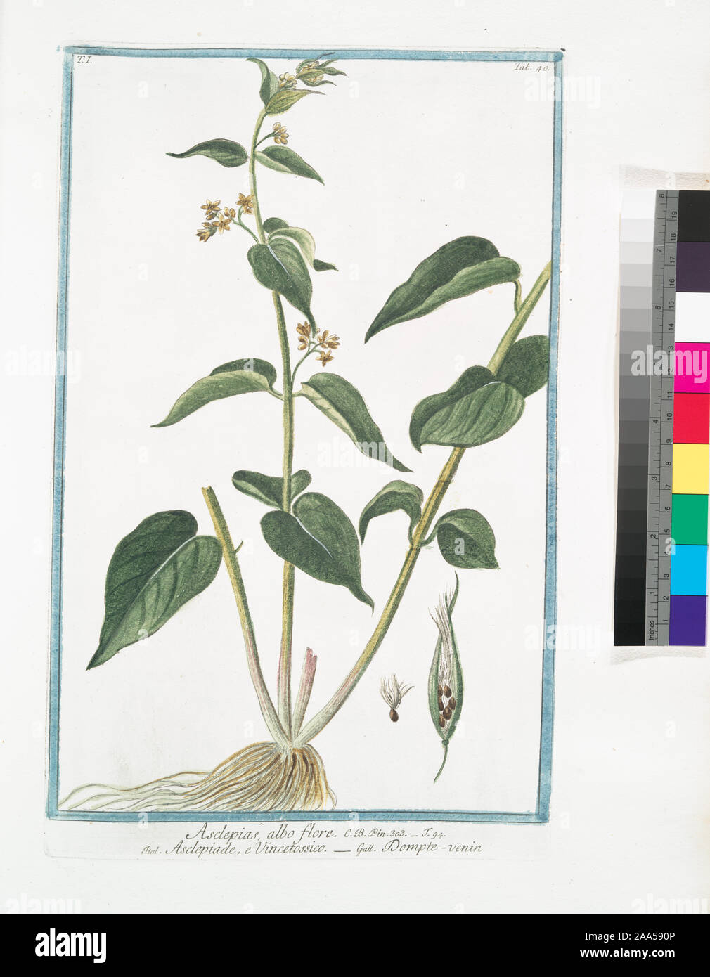 Title page of vols. 2-5: Hortus Romanus secundum systema Turnefortii a ...