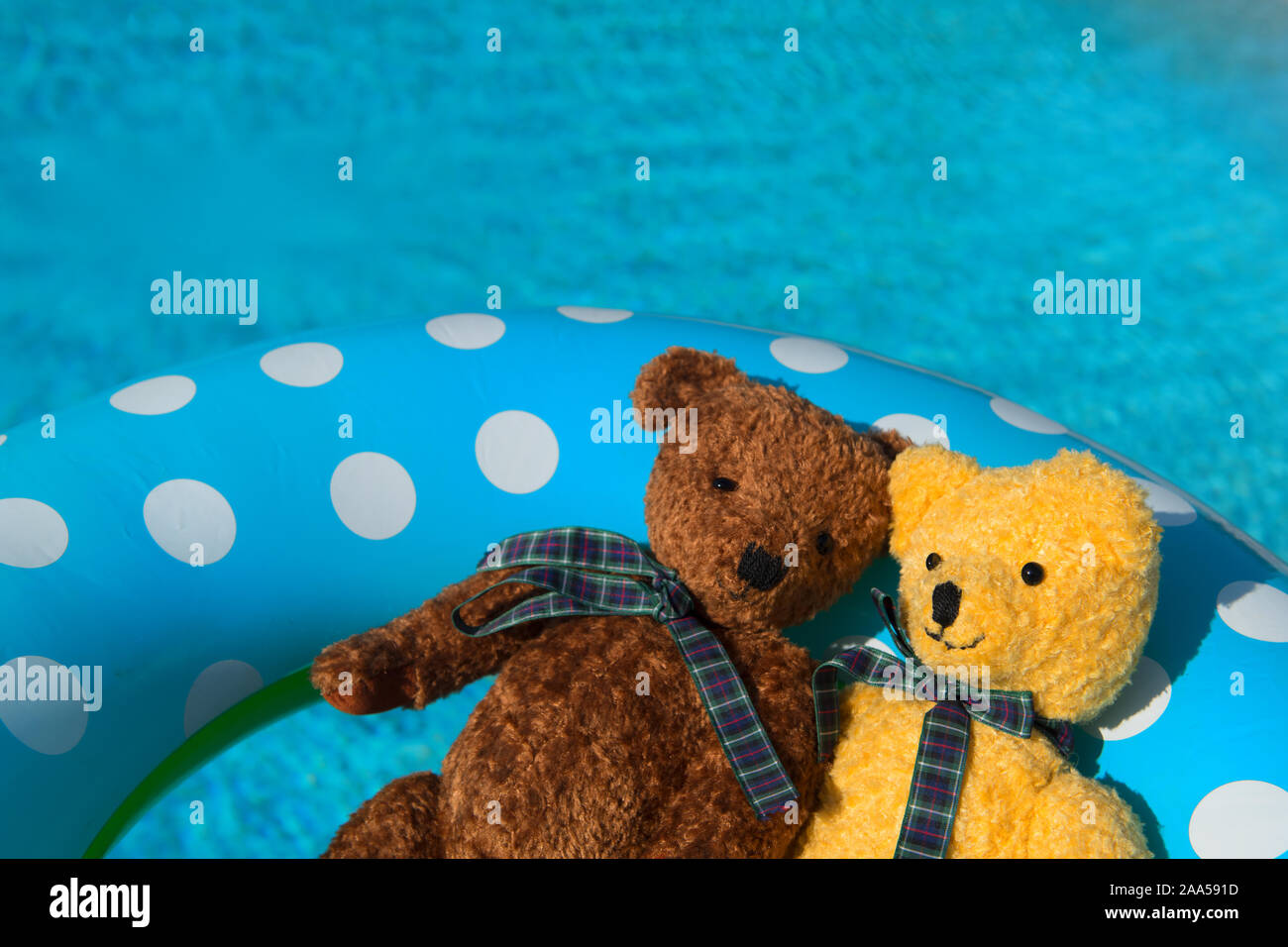 Two toy bears in inflatable toy in swimming pool Stock Photo - Alamy