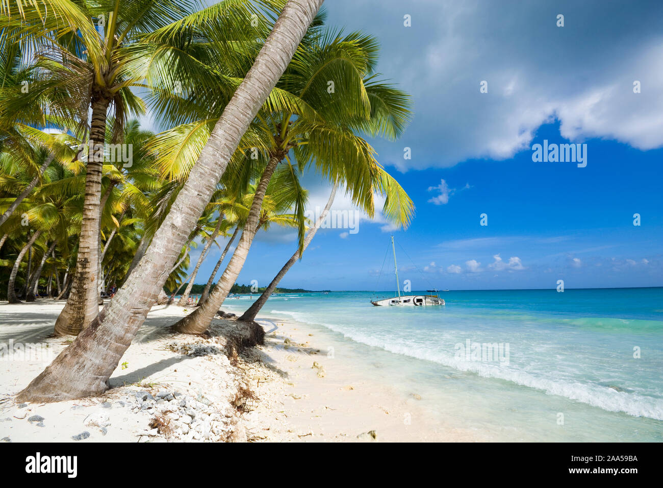 Tropical beach in Caribbean sea, Saona island, Dominican Republic Stock ...