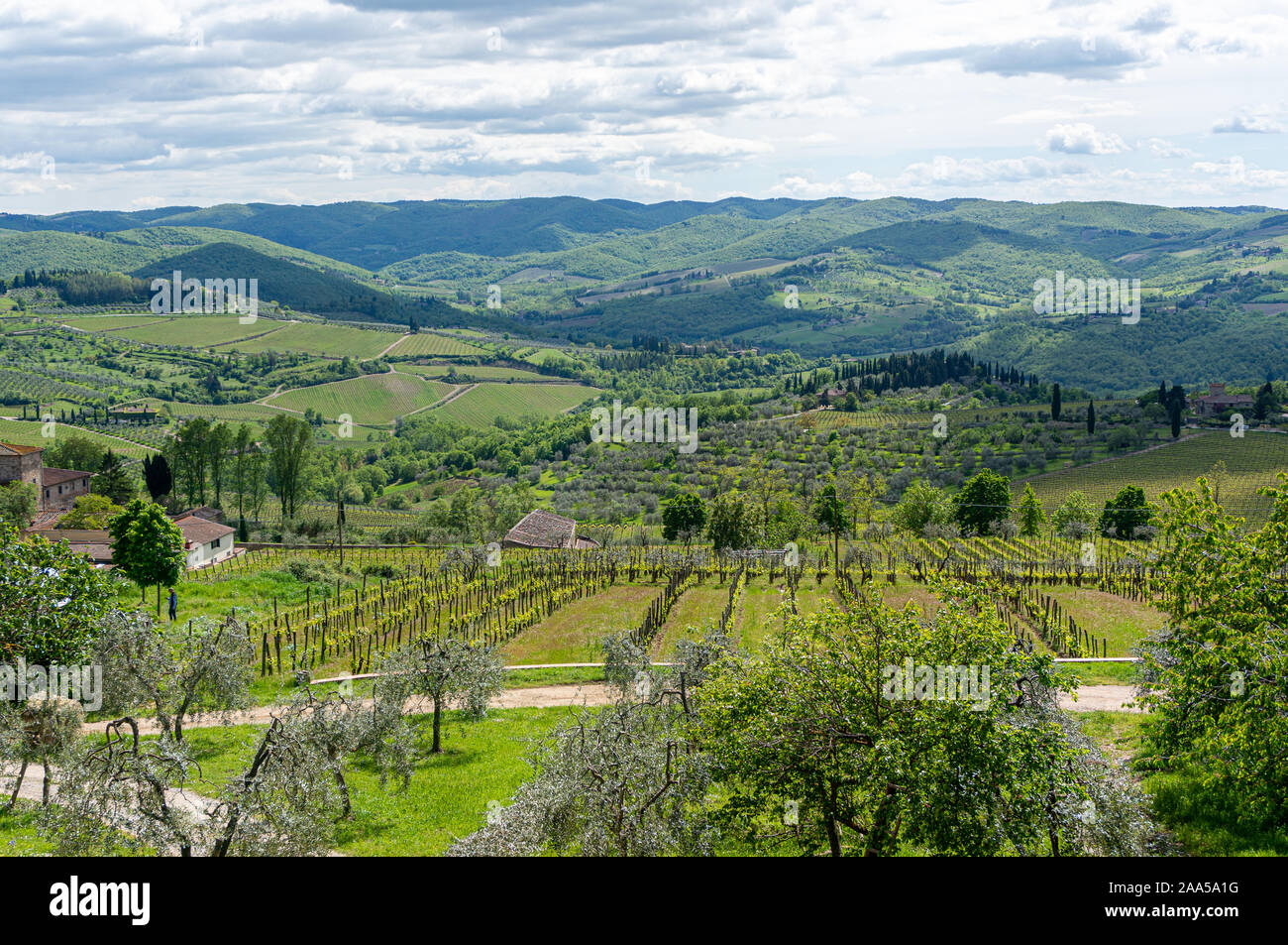 Crops grapes hi-res stock photography and images - Alamy