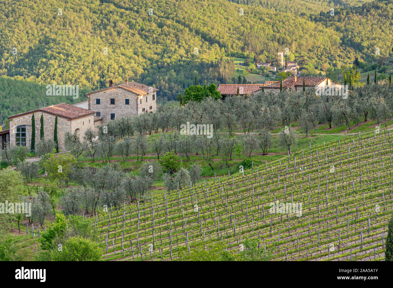 Rural food italy hi-res stock photography and images - Alamy