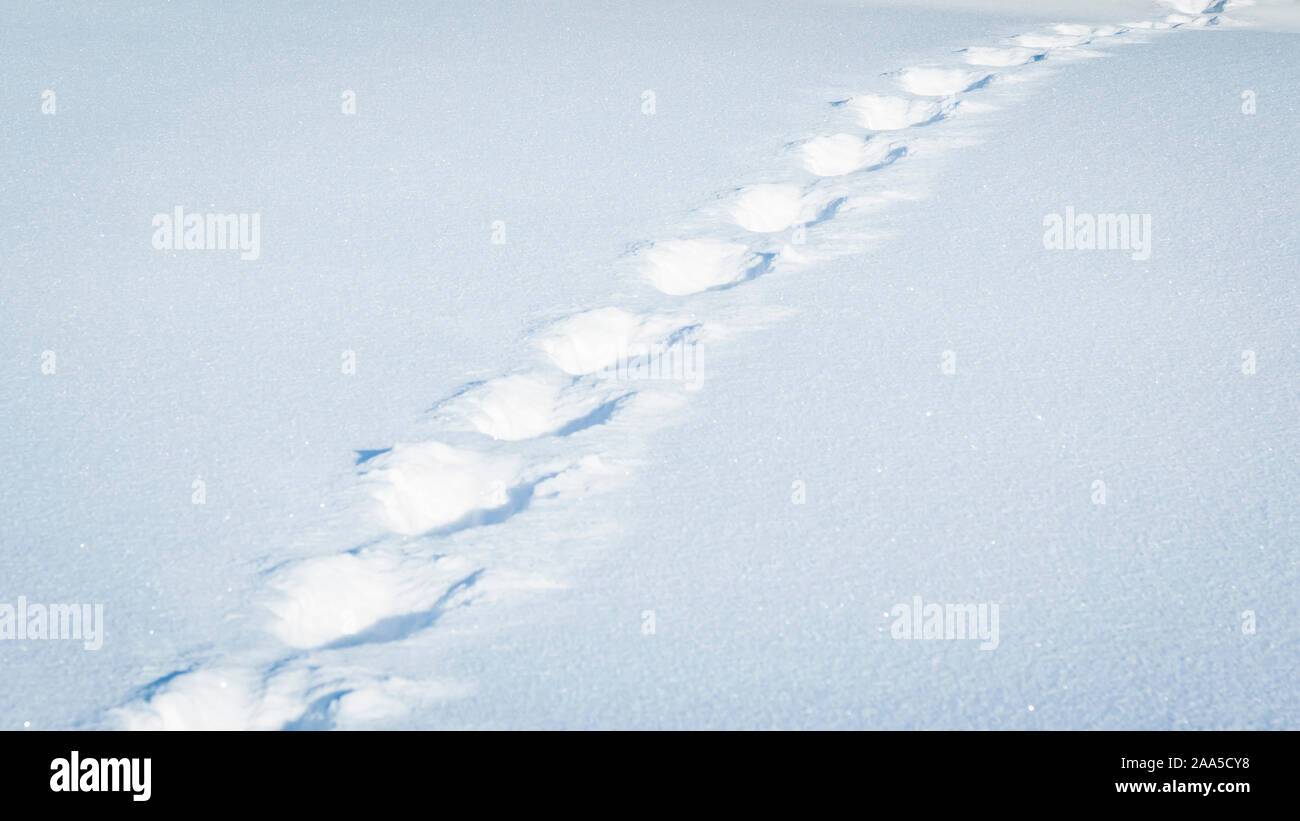 Shadow of a human foot hi-res stock photography and images - Alamy