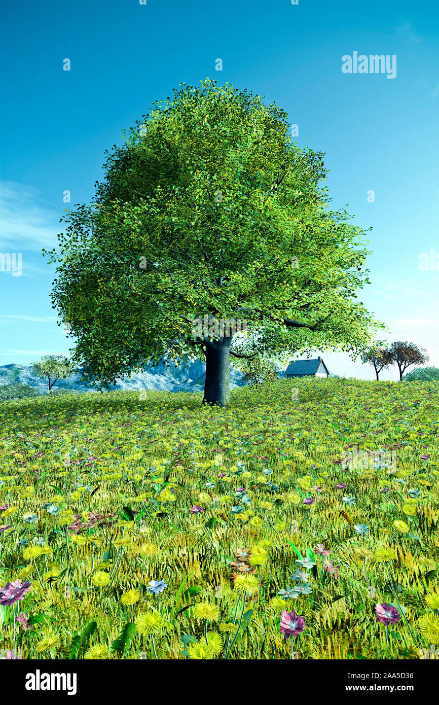 Ein alleinstehender, schoener gruener Baum auf einer Wiese Stock Photo ...