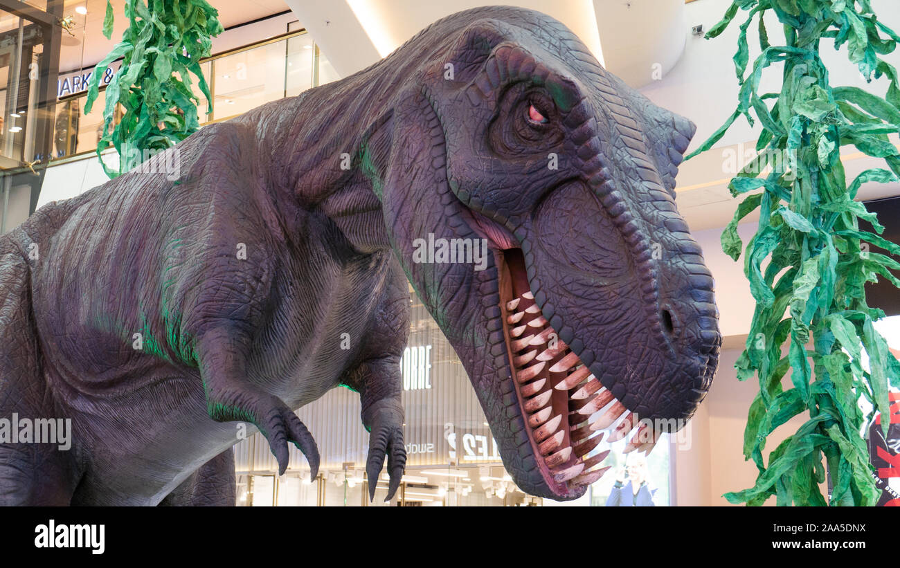 Dinosaur skeleton head close up photo in museum Stock Photo - Alamy