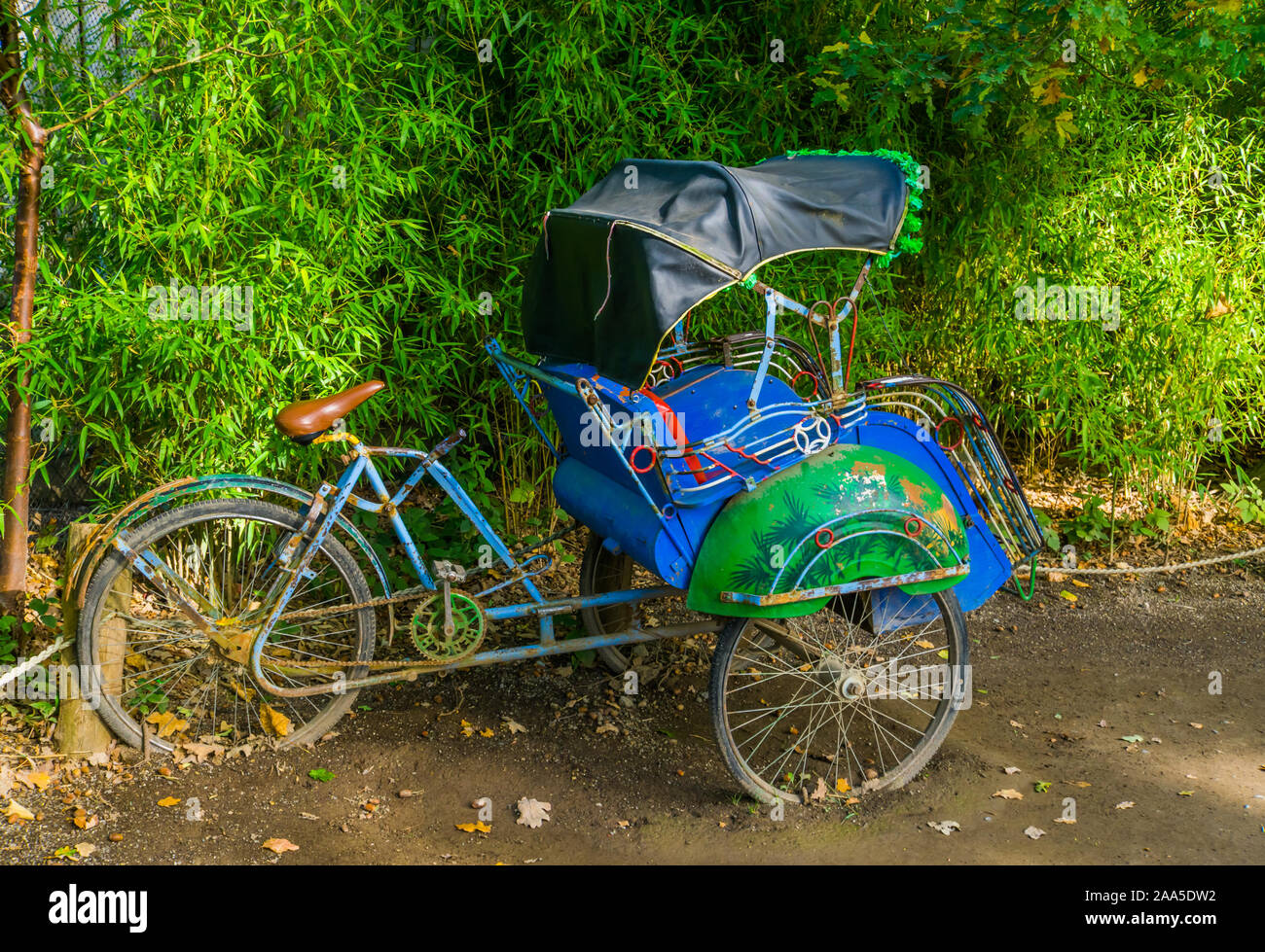 Side view of a traditional Asian cycle rickshaw, Vintage transportation ...