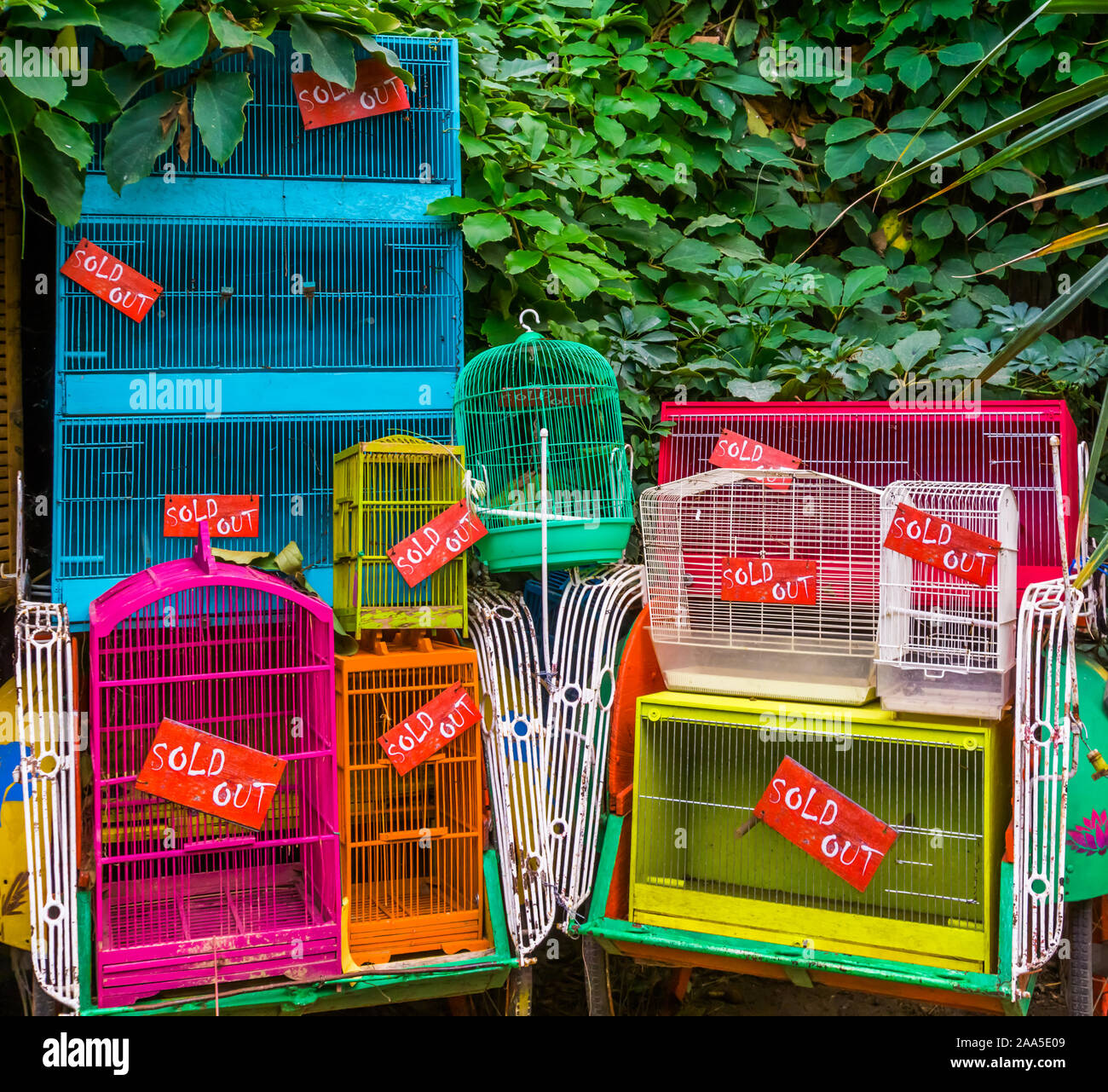 Many bird cages that sold out all the birds, pet trade in Asia, animal ...