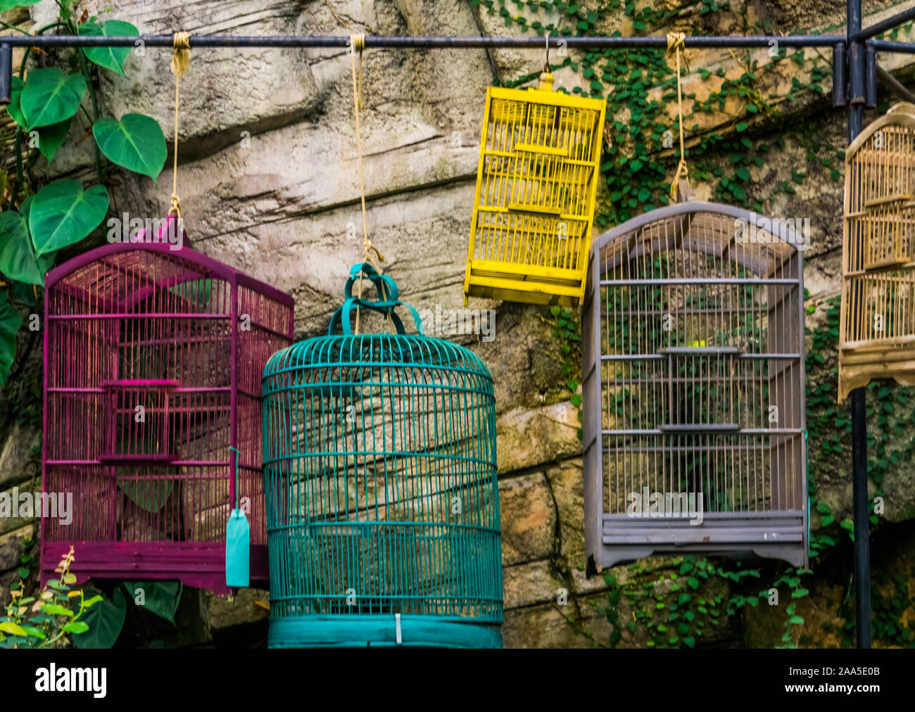 empty bird cages hanging on a bar, pet trade in Asia, Animal store ...