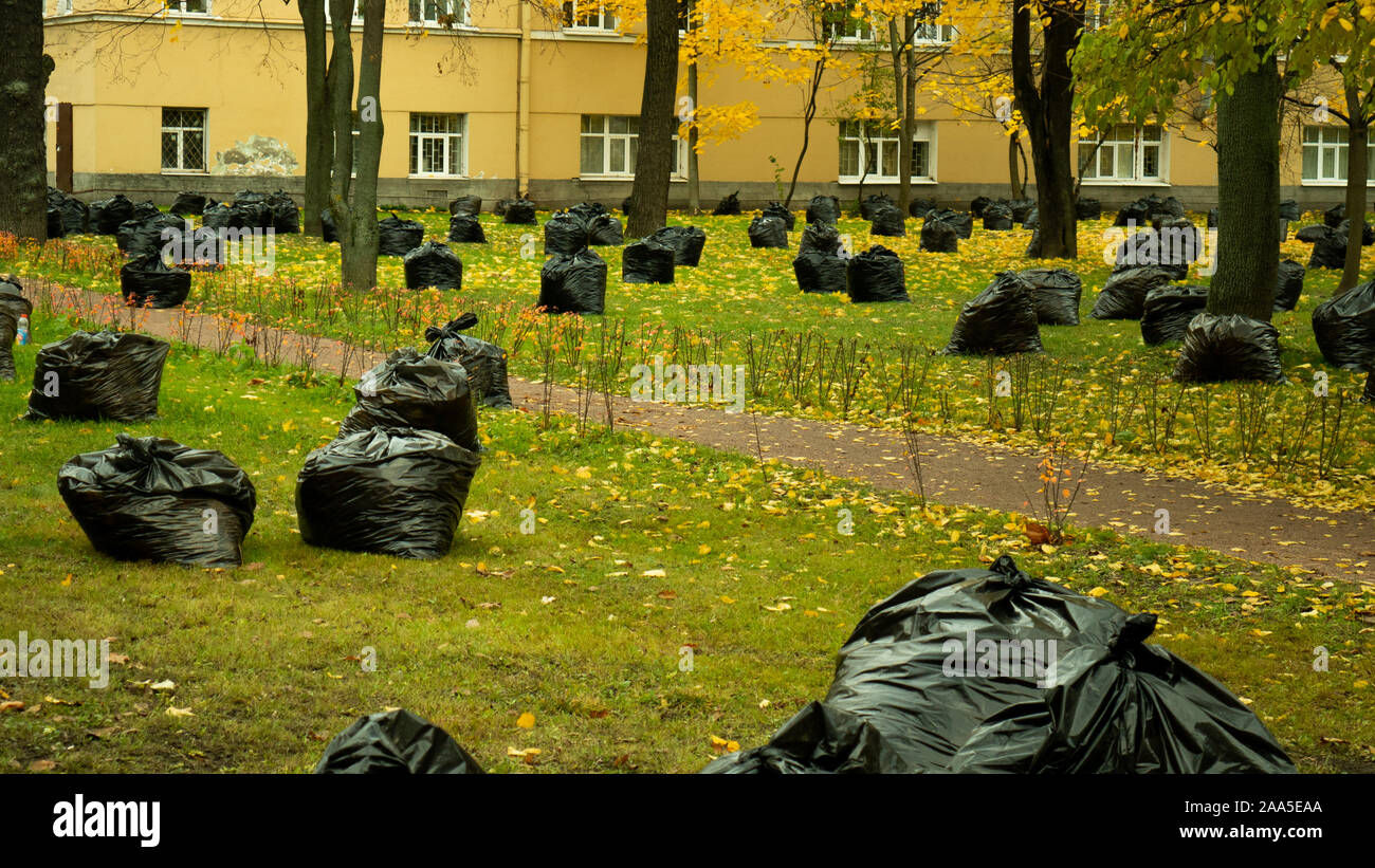 Harvesting leaves in the fall. Caring for the park Stock Photo - Alamy