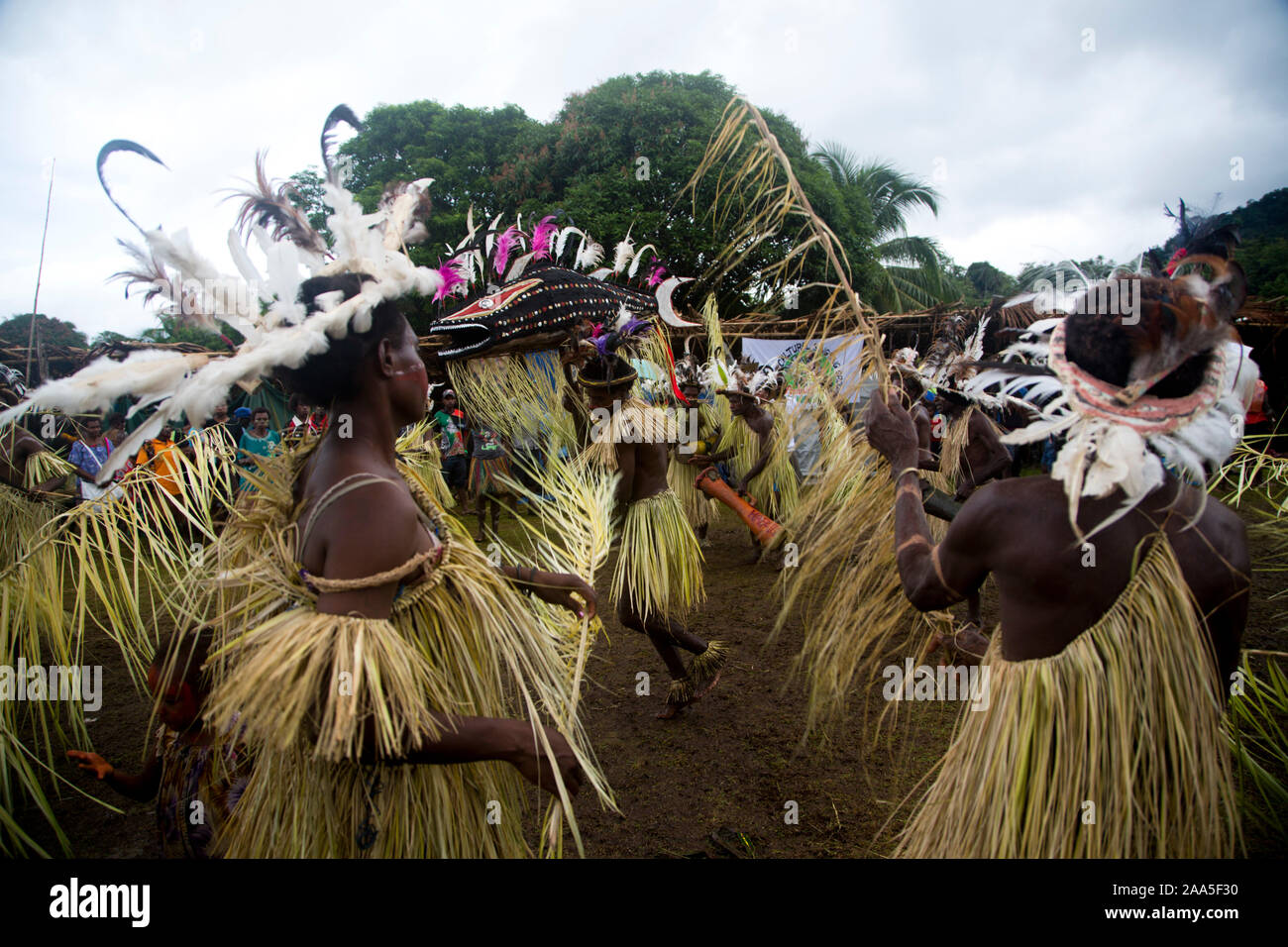 Papua png singsing traditional hi-res stock photography and images - Alamy